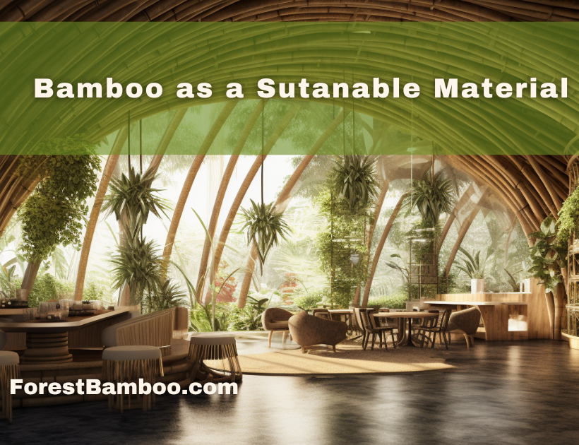 Home Page Of Forest Bamboo - Forest Bamboo - Sustainable Living Goods
